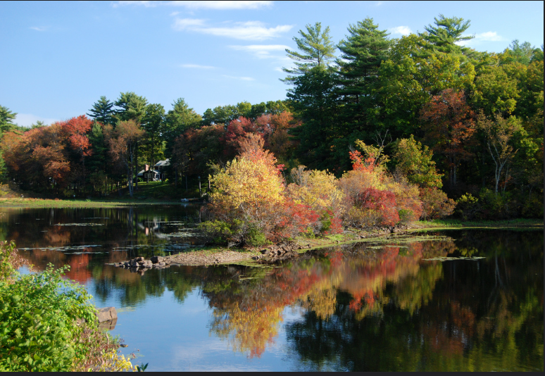 About – FRIENDS OF WILLETT POND