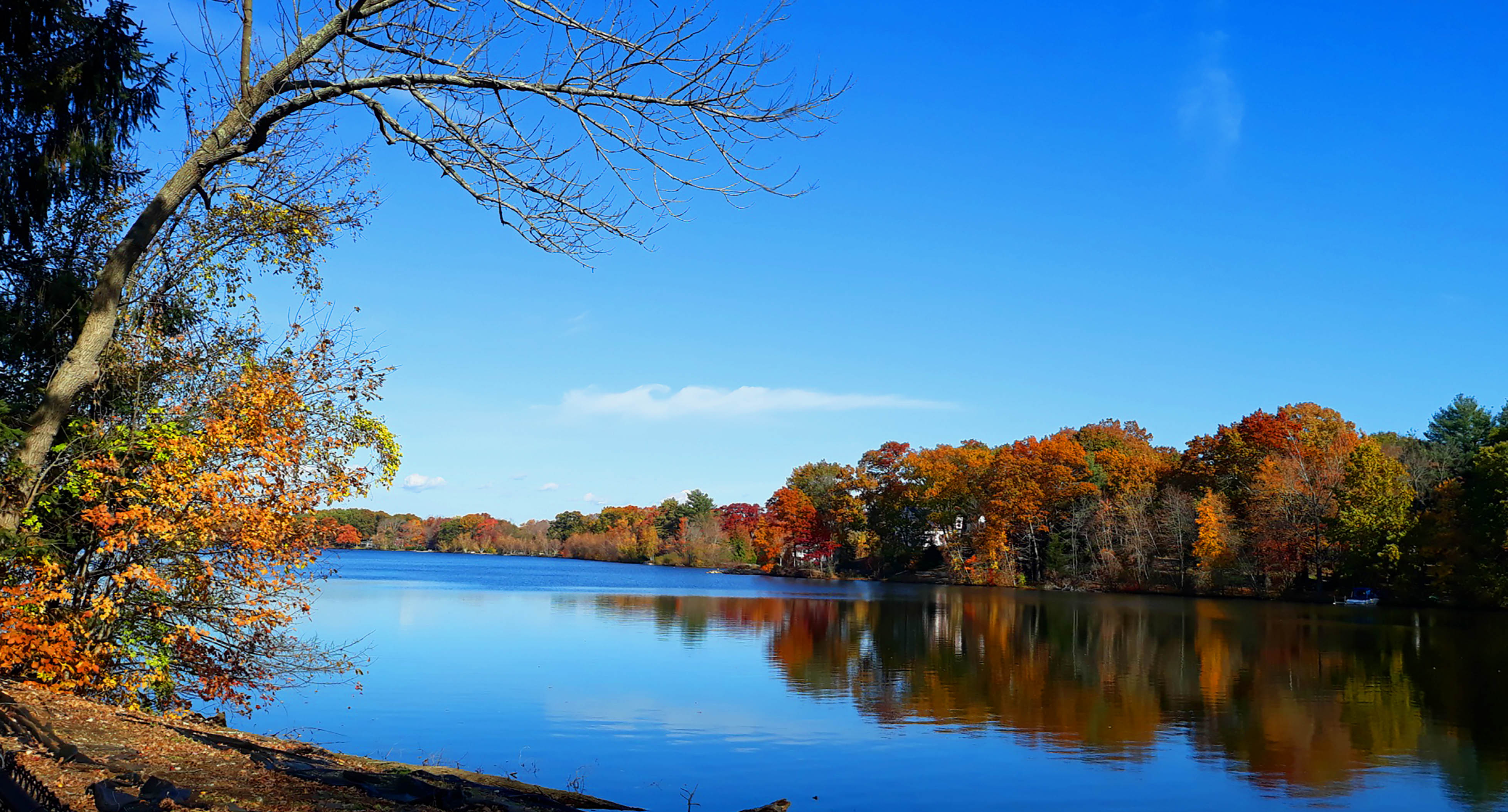 FRIENDS OF WILLETT POND – Website of the Willet Pond Charitable and ...